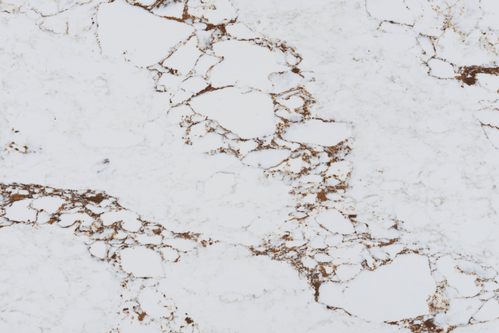 Calacatta Capria AQ9901 – Quartz